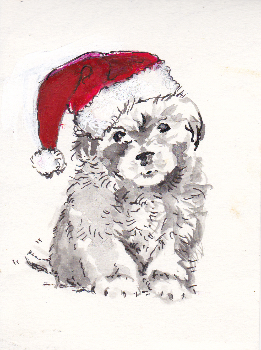 The Puppy Boom - A Dog is for Life, not just for Lockdown - Orchard ...
